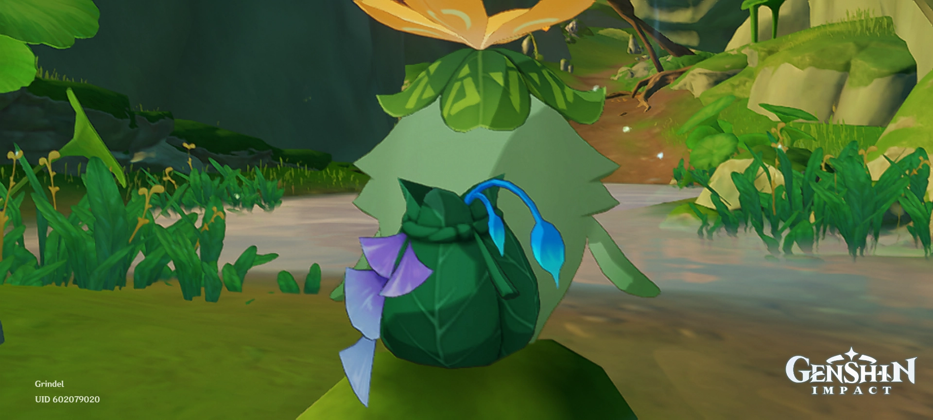 Recordatorio de Aramani: Genshin Impact | HoYoLAB