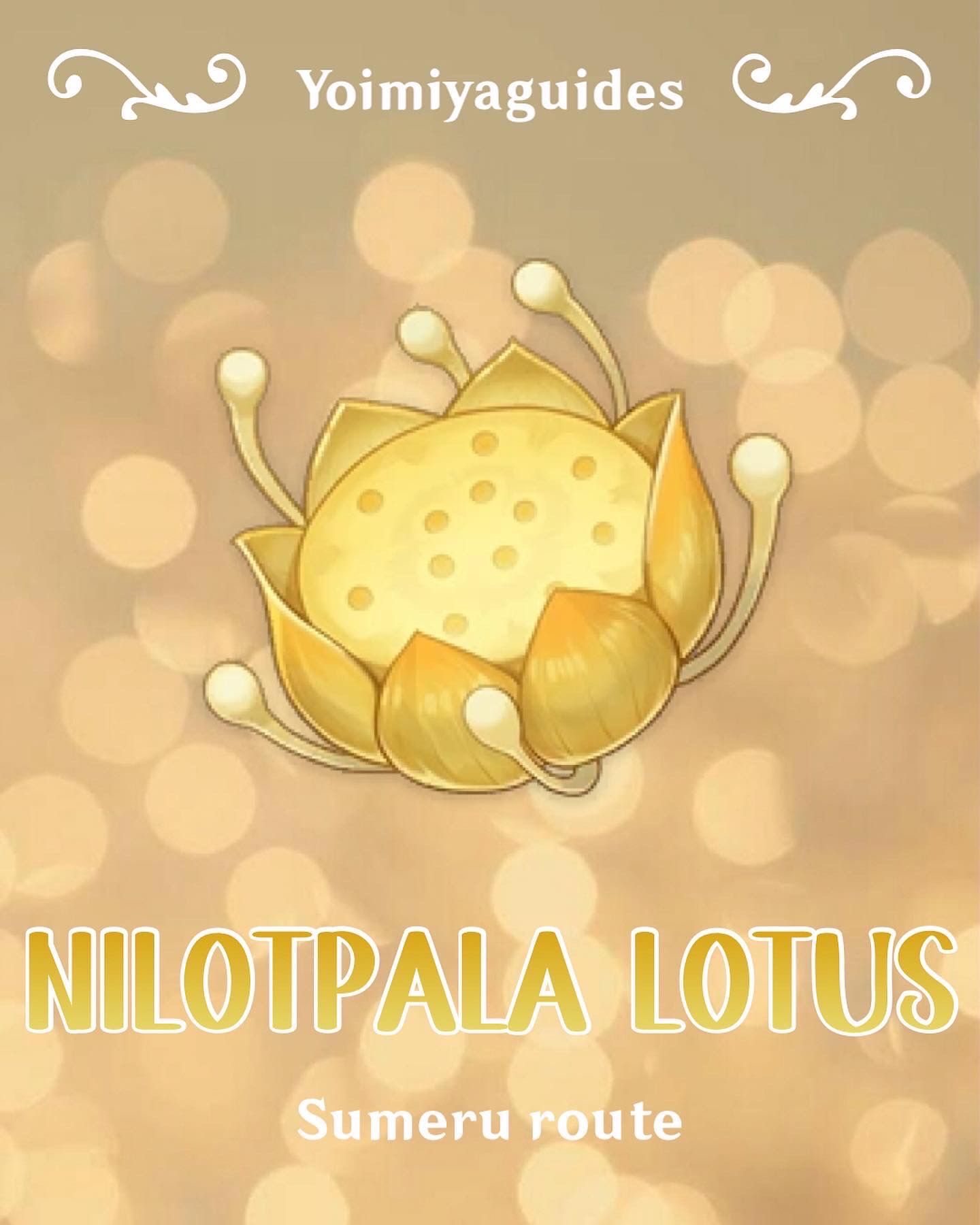 3.2 Nilotpala Lotus Genshin Impact | HoYoLAB