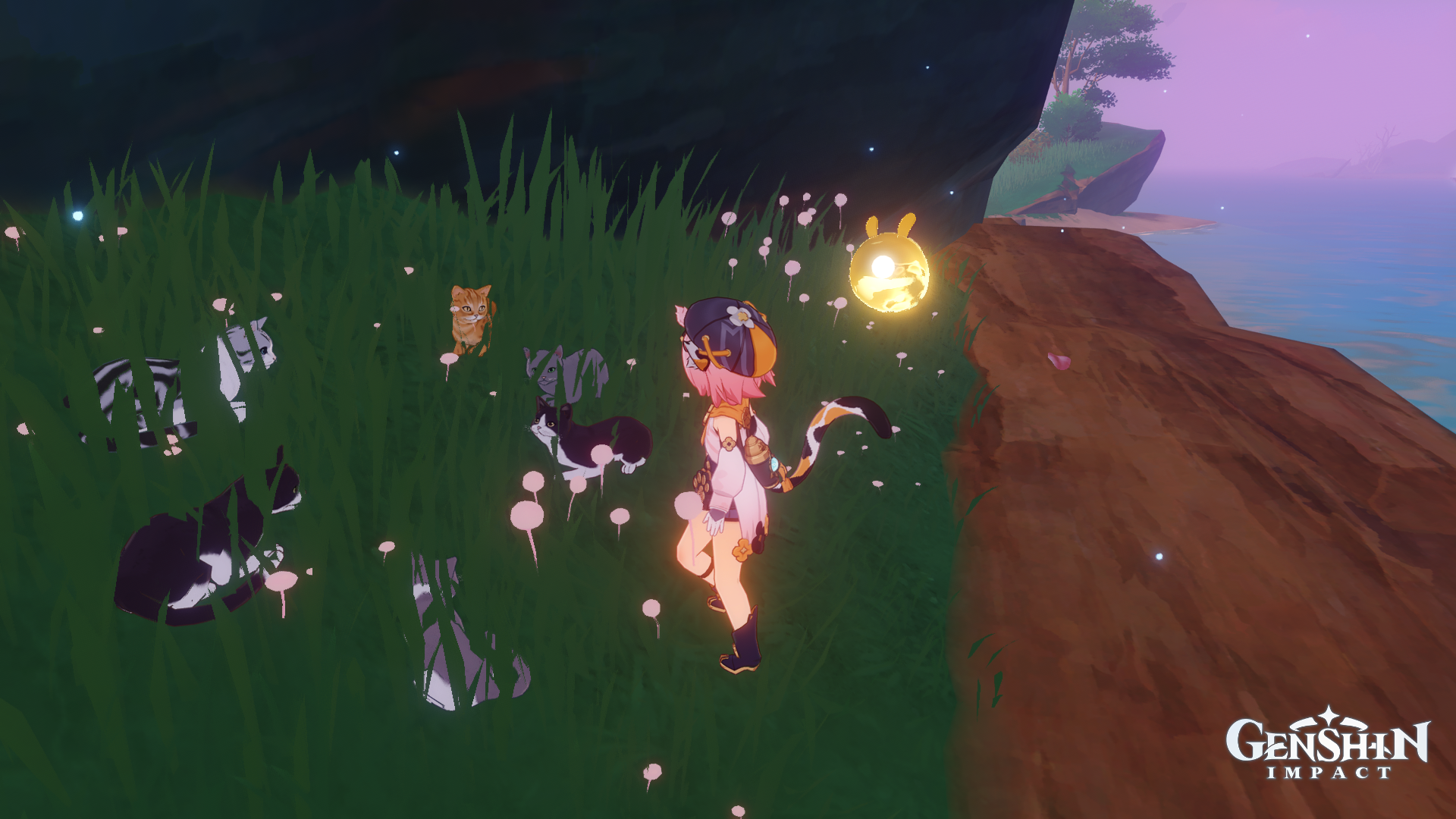 Cat reunion at Inazuma Genshin Impact | HoYoLAB