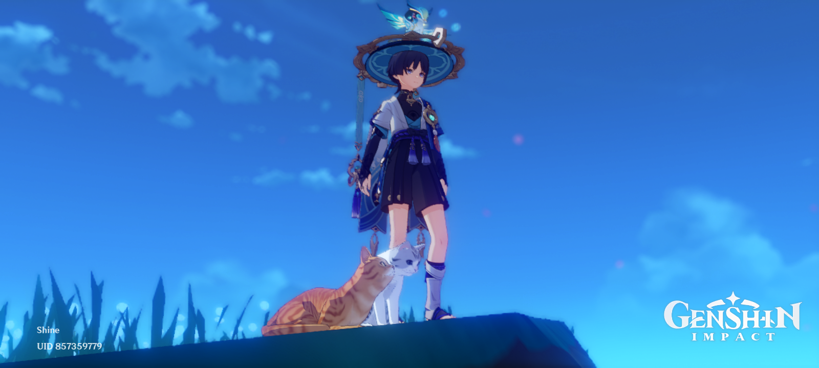 Scaramouche with cats Genshin Impact | HoYoLAB