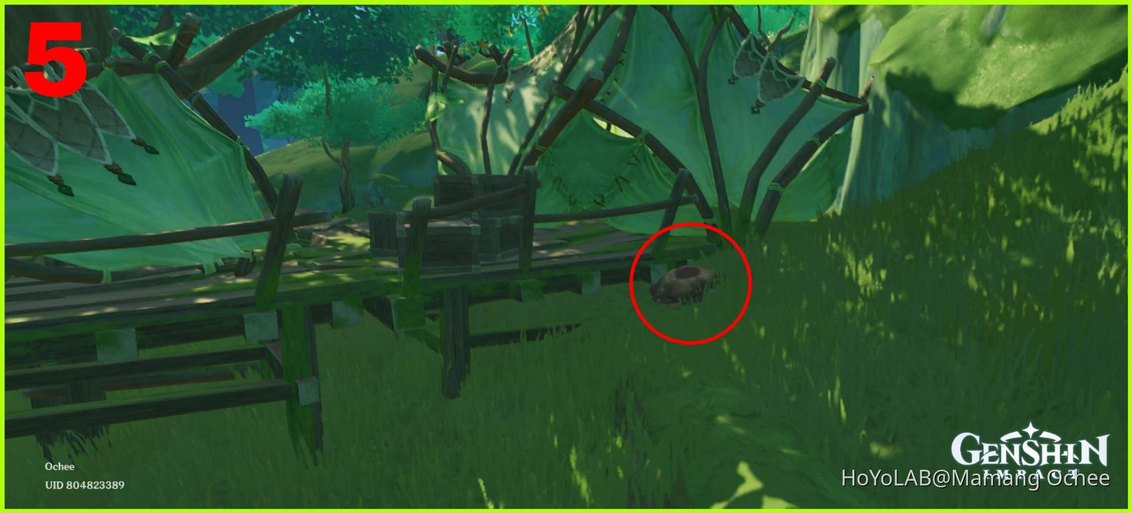 Hidden Achievement Oh, Hari yang Indah! + 2 Precious Chest - Puzzle ...