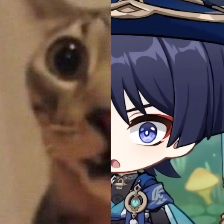 Michis🐈 Genshin Impact | HoYoLAB