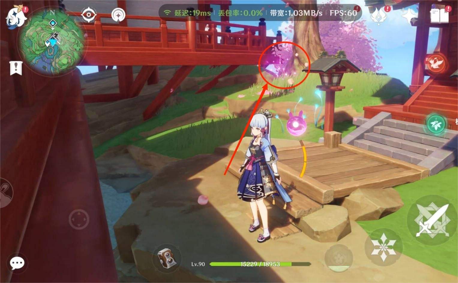 [V3.3][Sakura Bloom] Collection Guide: Get 63 within 10 min! Genshin ...