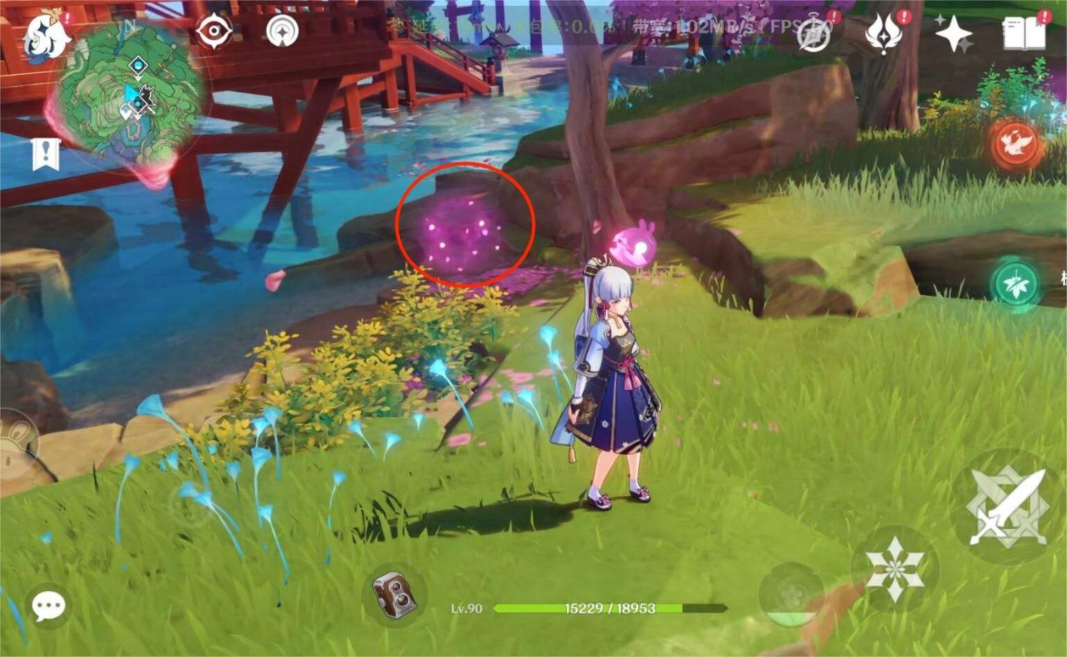 [V3.3][Sakura Bloom] Collection Guide: Get 63 within 10 min! Genshin ...