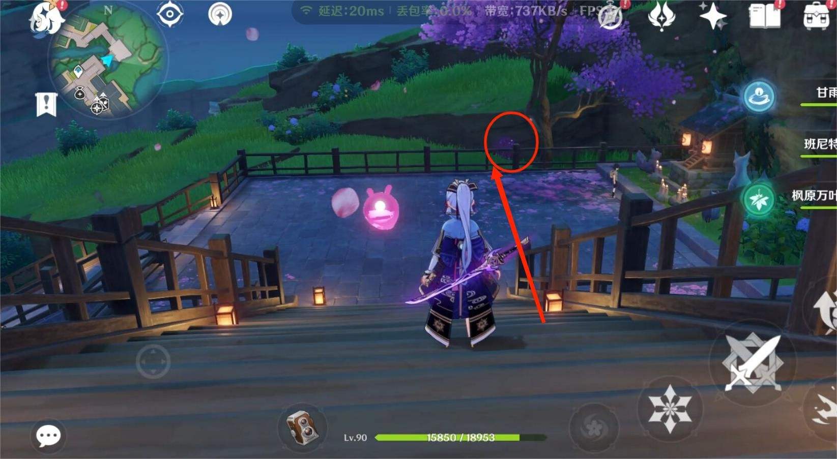 [V3.3][Sakura Bloom] Collection Guide: Get 63 within 10 min! Genshin ...