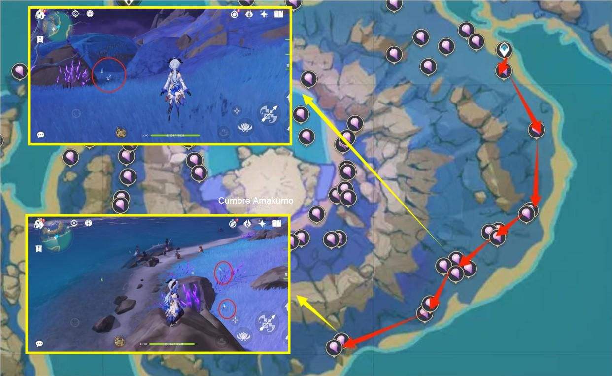 [Versión 3.3] Rutas para recoger Fruto amakumo rápi****nte: ¡150 ...