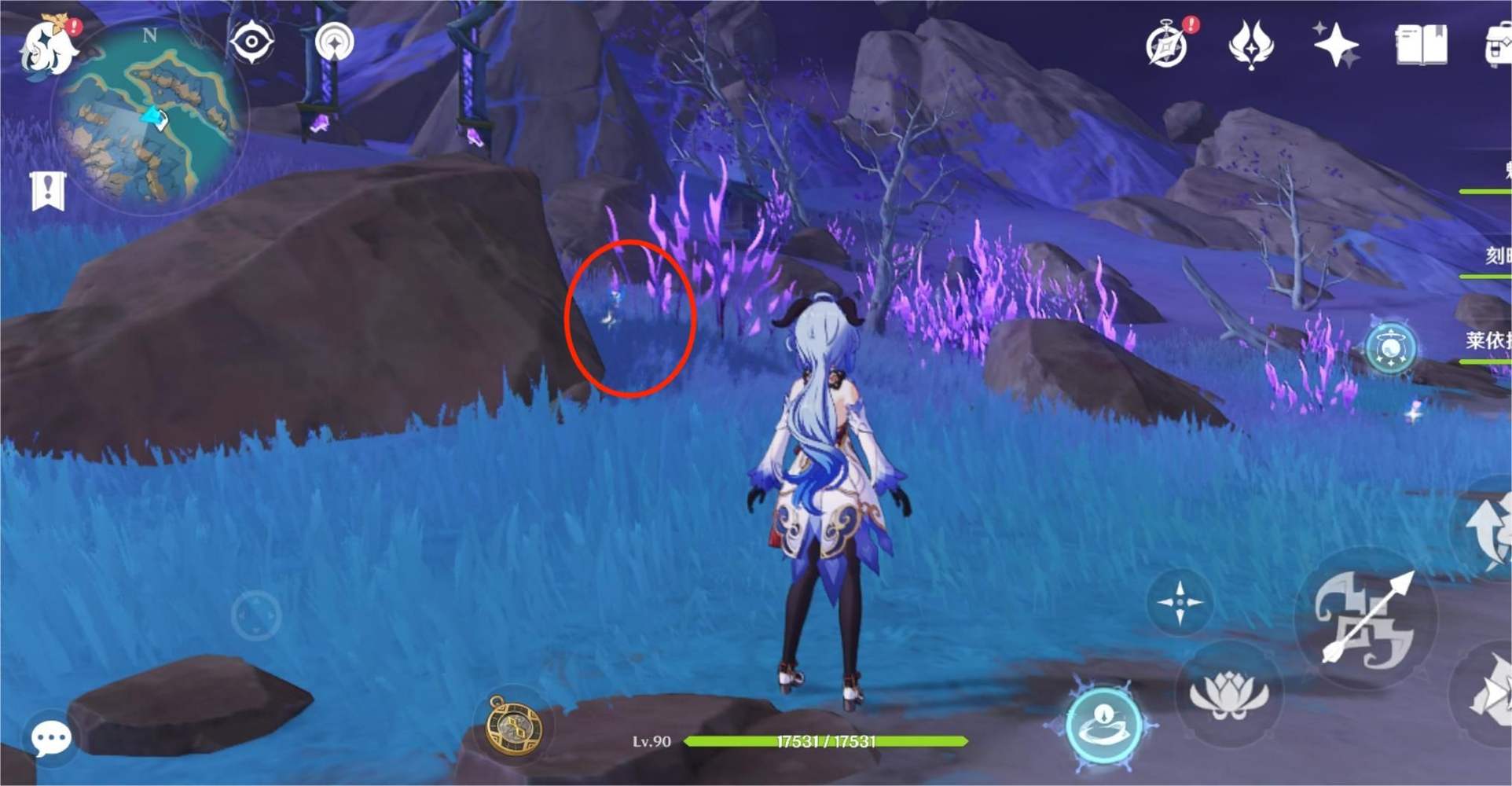 [Versión 3.3] Rutas para recoger Fruto amakumo rápi****nte: ¡150 ...