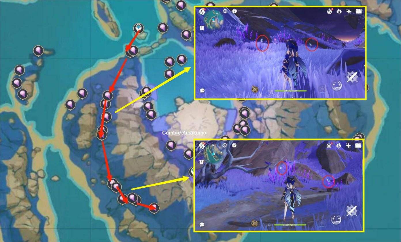 [Versión 3.3] Rutas para recoger Fruto amakumo rápi****nte: ¡150 ...