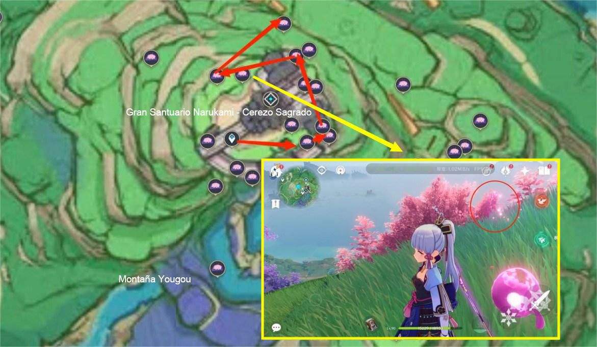 [Versión 3.3] Rutas para recoger Pétalos de cerezo rápi****nte: ¡63 ...