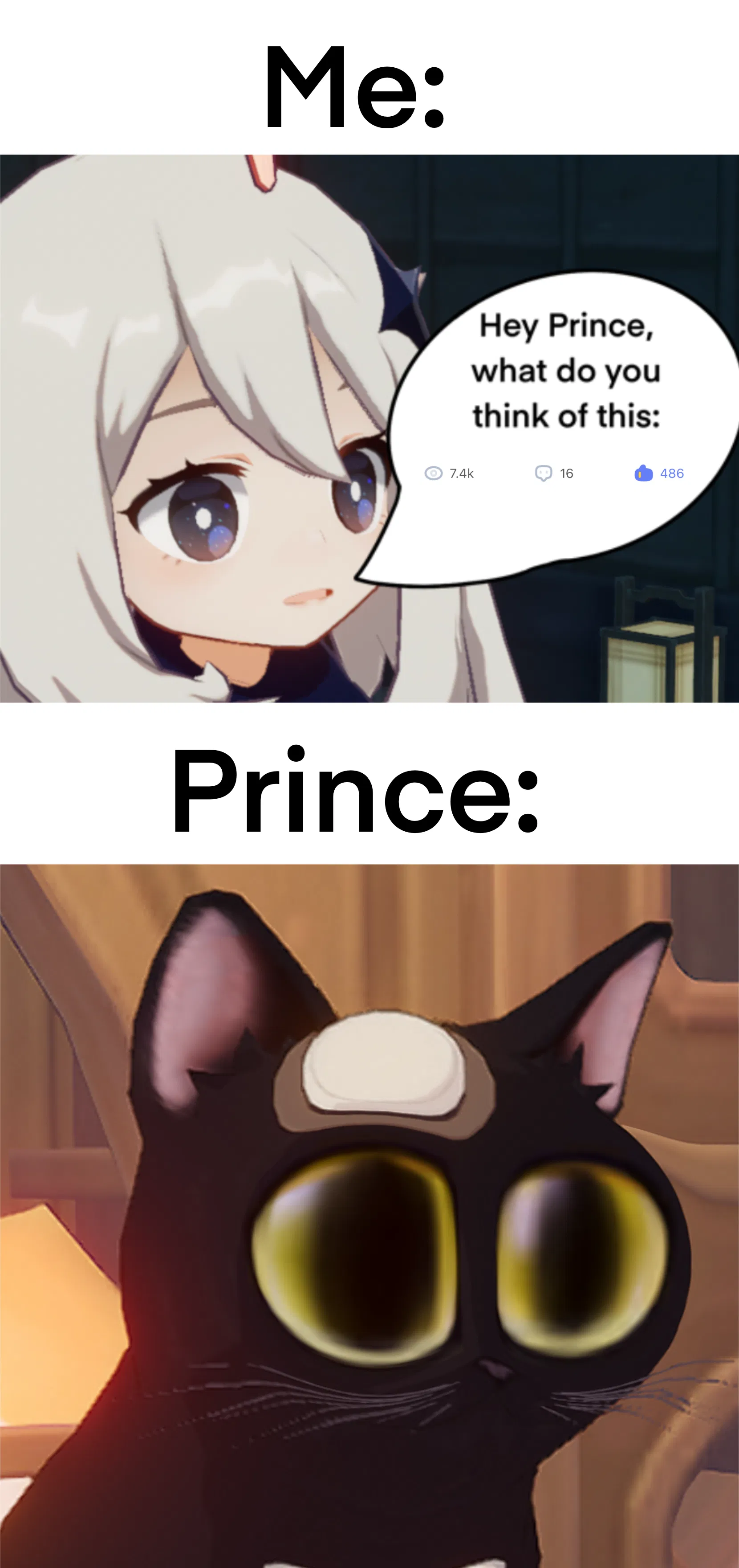 Thanks for getting my little Genius Invocation TCG meme to 7k views ...