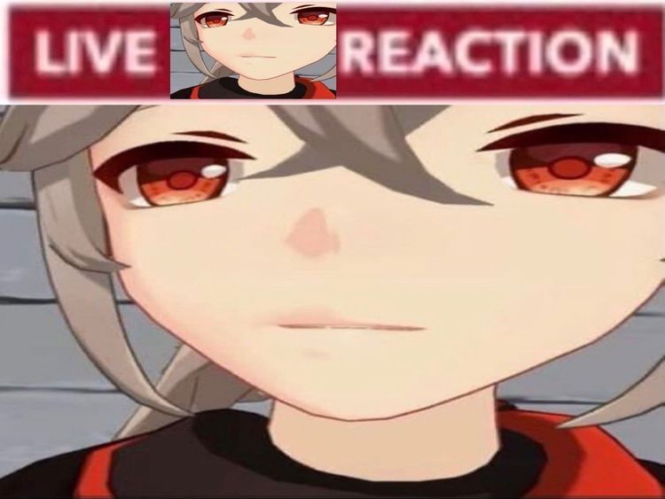 meme Genshin Impact | HoYoLAB