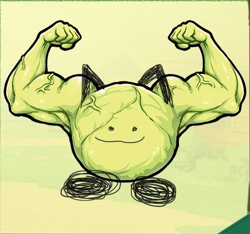 Aranara cat buff Ai-Chan cabbage!!! Honkai Impact 3rd | HoYoLAB