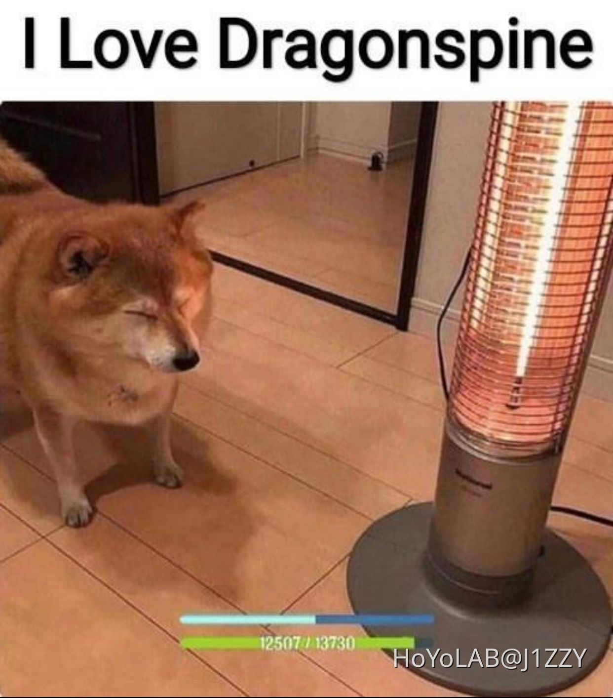 Dragonspine do be like dis 😂 Genshin Impact | HoYoLAB