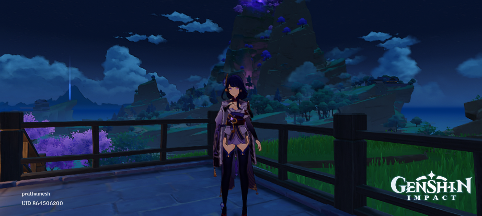 raiden shogun Genshin Impact | HoYoLAB