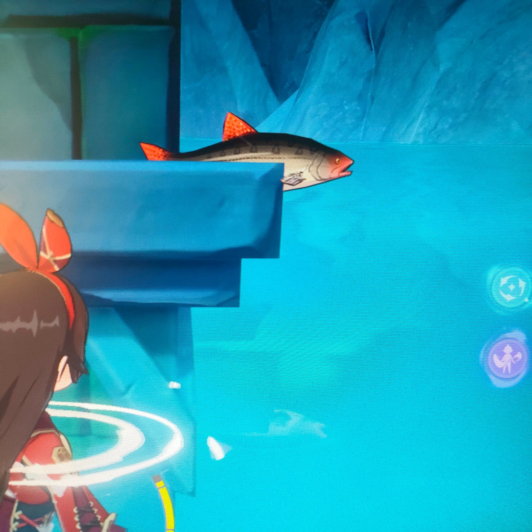 The evolution of fishes Genshin Impact | HoYoLAB