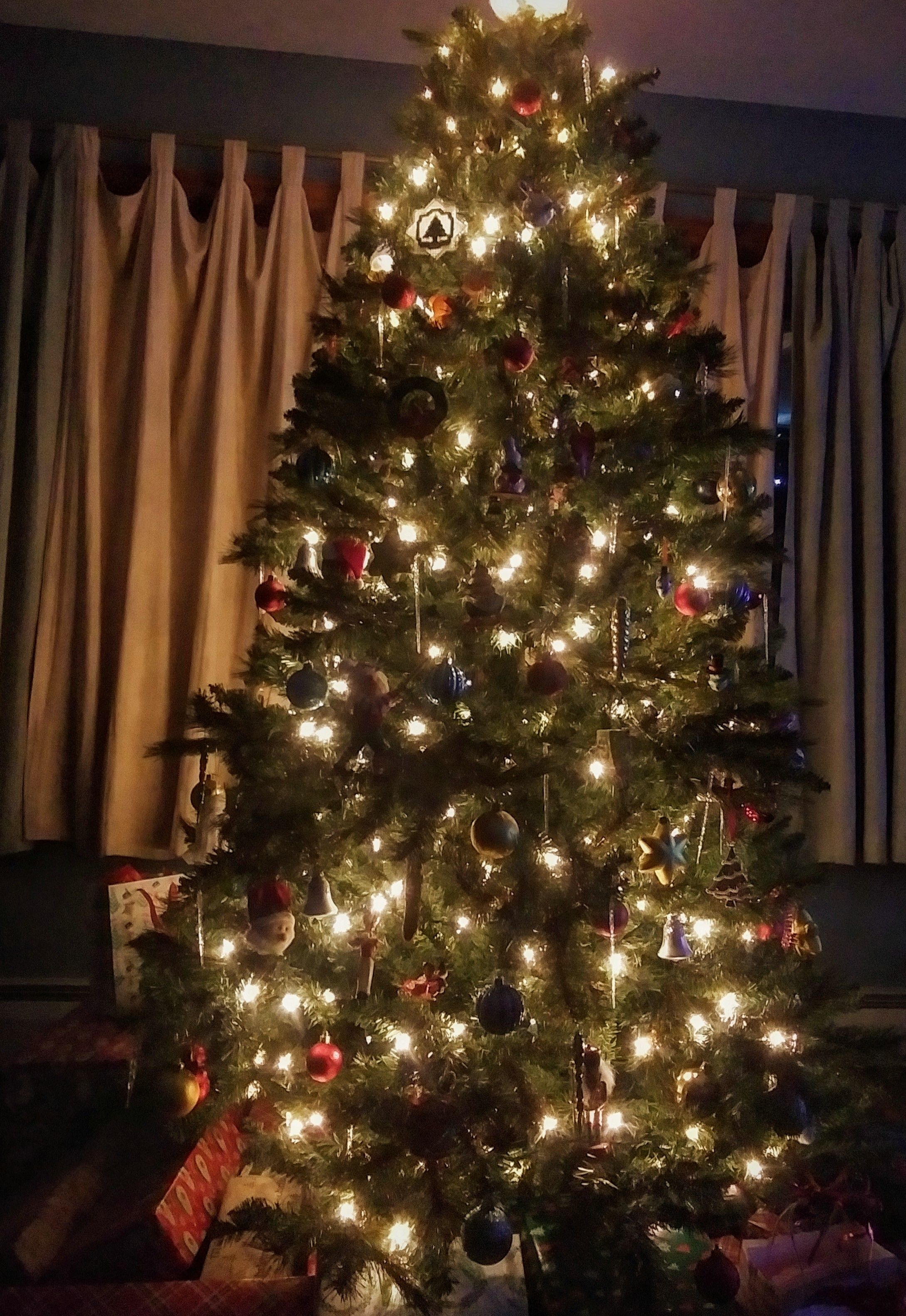 My Favorite Christmas Memory... | HoYoLAB