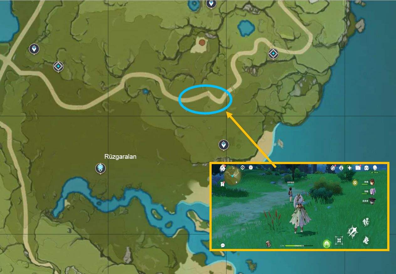 [Valberry] toplama kılavuzu hakkında bilgi edinin Genshin Impact | HoYoLAB