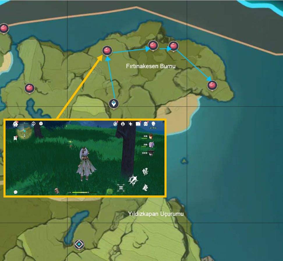 Suggerimenti per la raccolta del [Valberry] Genshin Impact | HoYoLAB