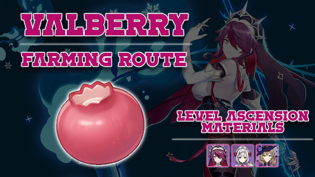Valberry Farming Route - Leven Ascension Material Genshin Impact | HoYoLAB