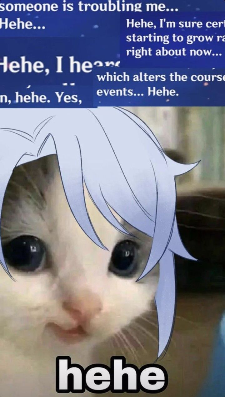 Memes for ayato wanters Genshin Impact | HoYoLAB