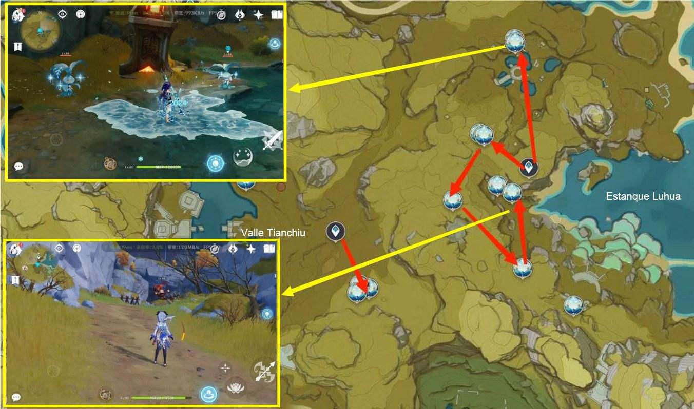 Rutas para recoger los obtenidos de Megafloras Genshin Impact | HoYoLAB