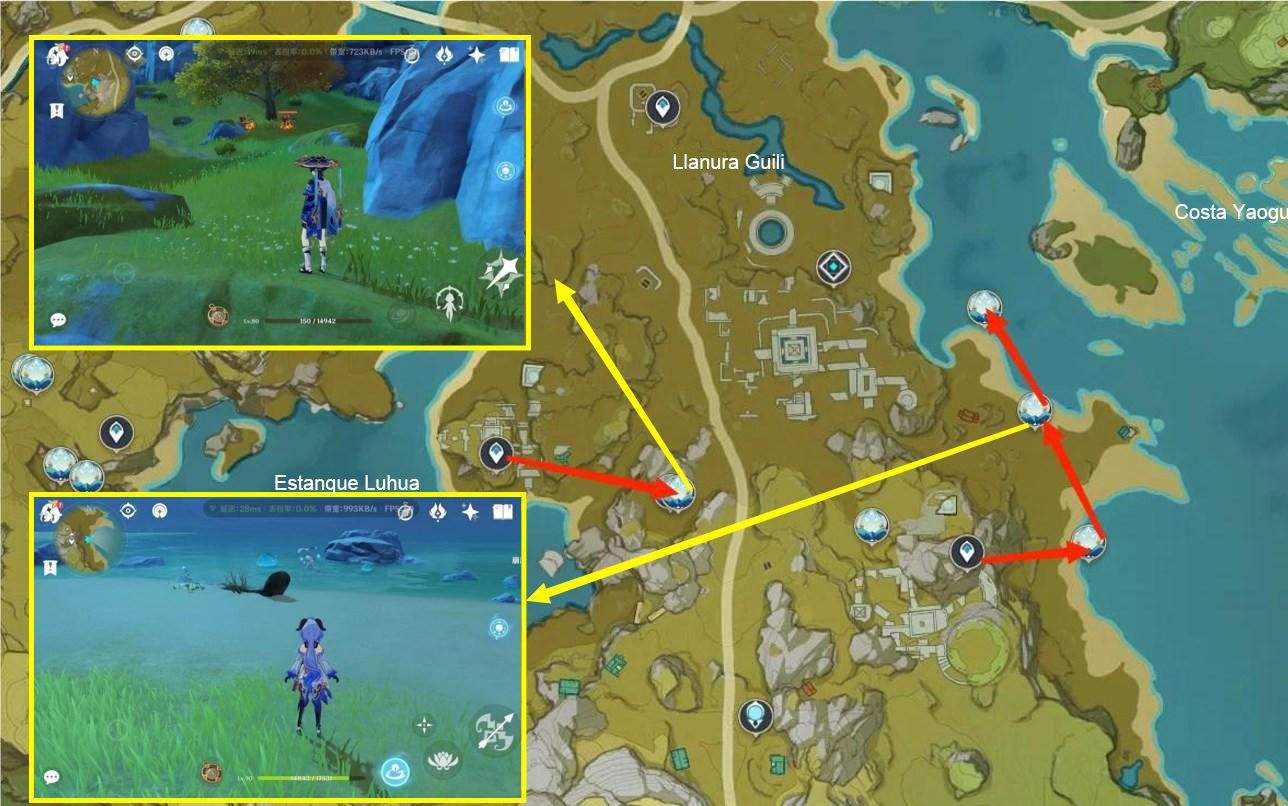 Rutas para recoger los obtenidos de Megafloras Genshin Impact | HoYoLAB