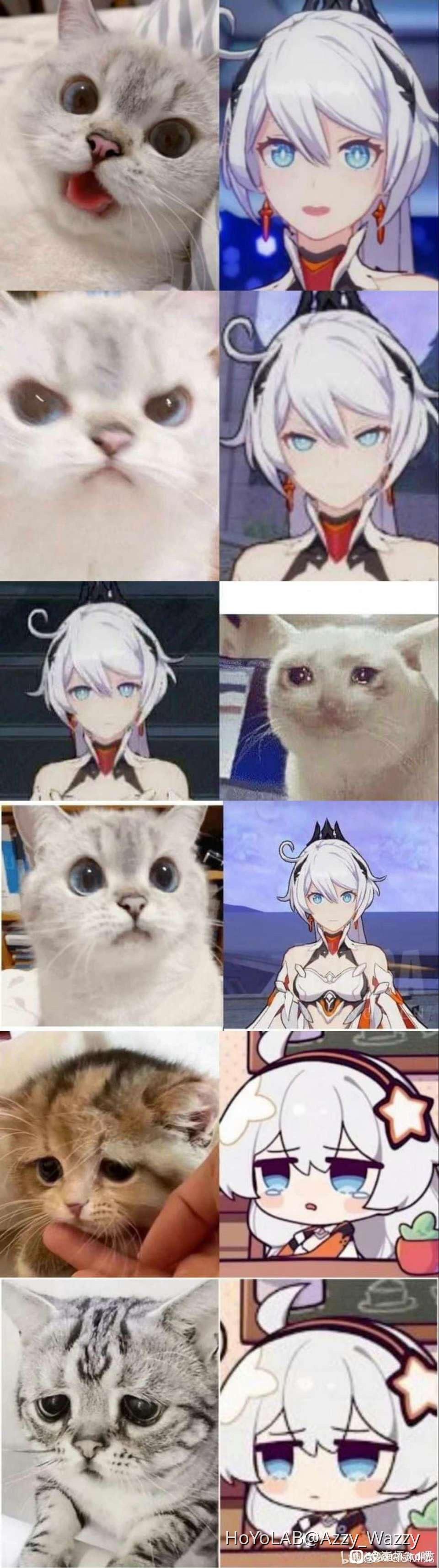 Honkai memes Honkai Impact 3rd | HoYoLAB