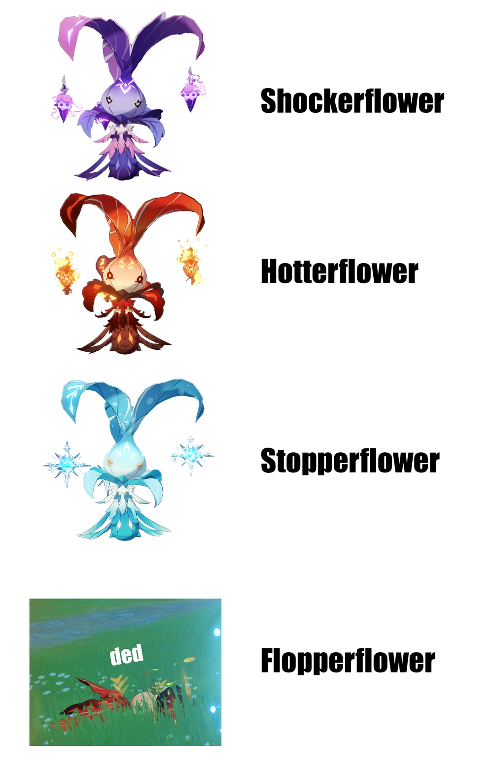 Whopperflower Names Genshin Impact | HoYoLAB