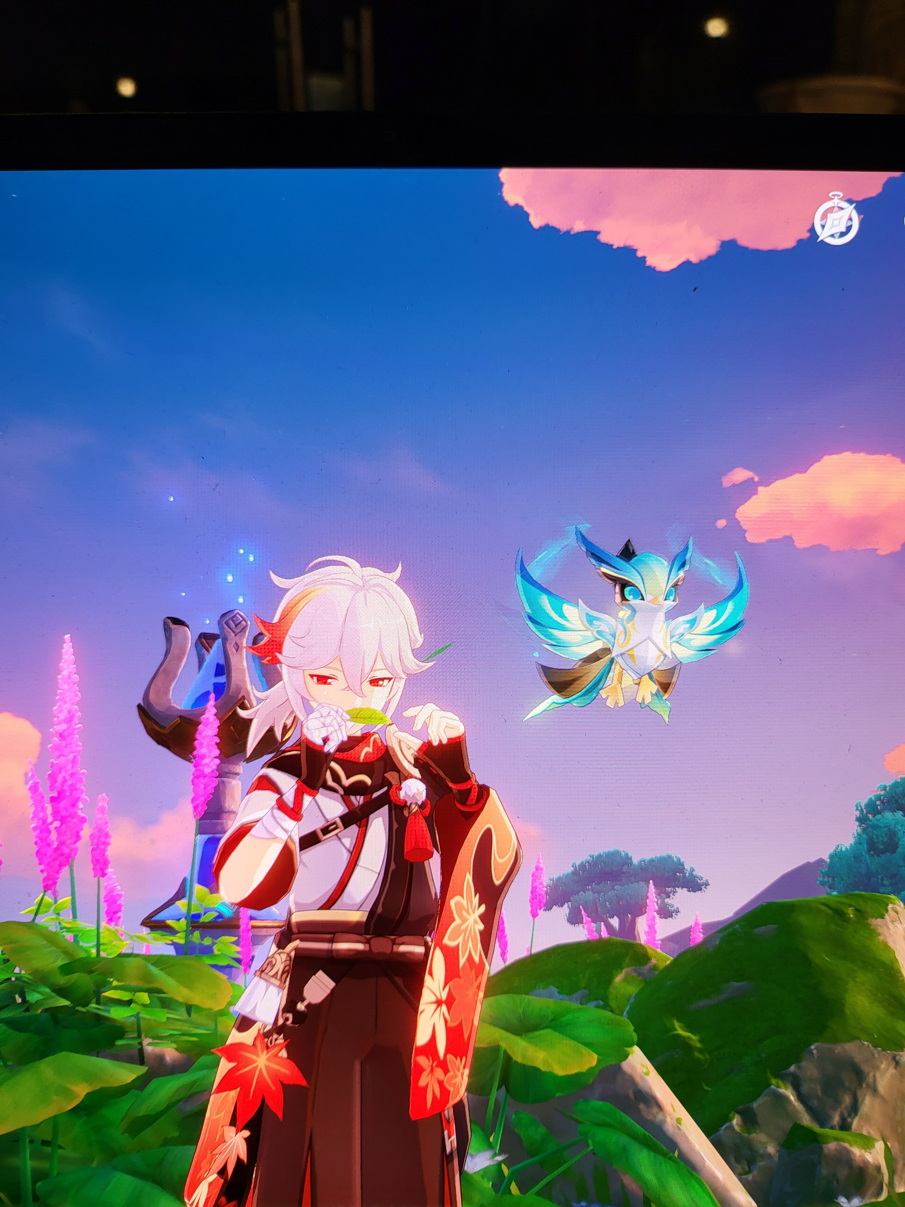 best creature Genshin Impact | HoYoLAB