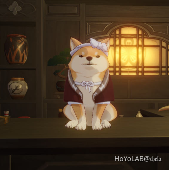 Cutest animals I’ve seen so far Genshin Impact | HoYoLAB