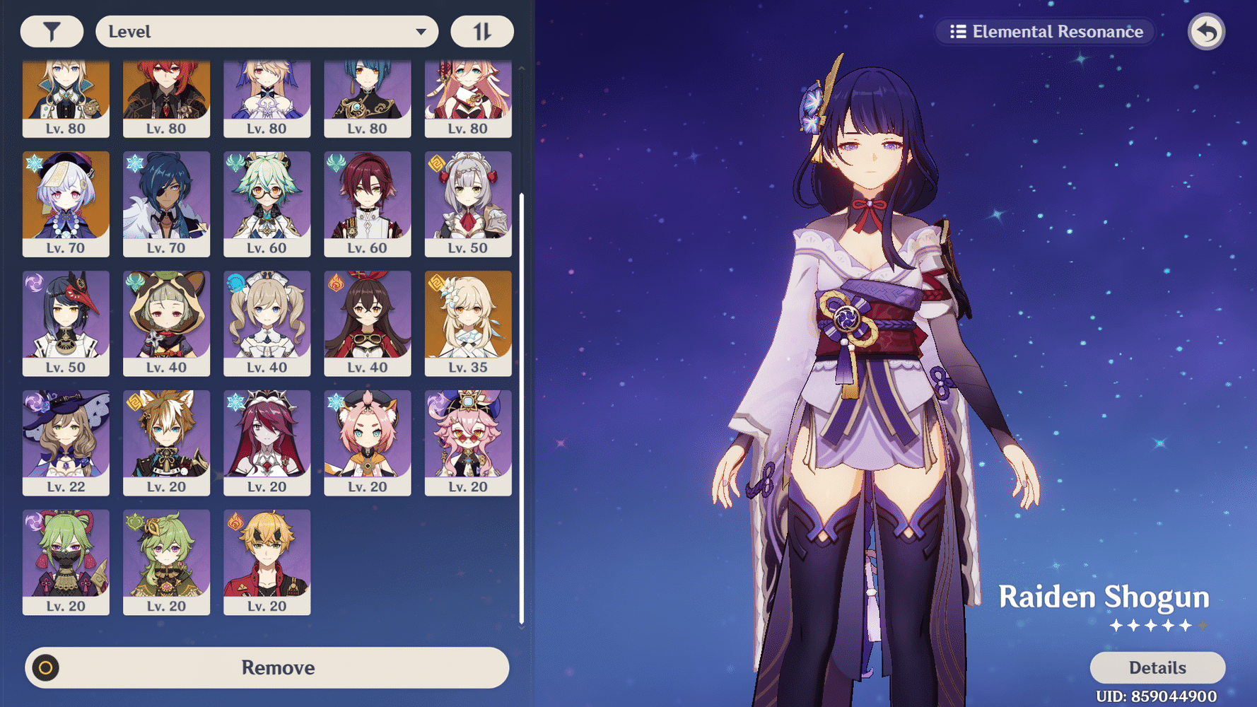 Raiden Team Comp Genshin Impact | HoYoLAB