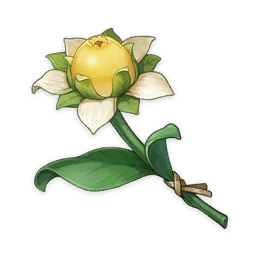 List of Flowers in Teyvat Genshin Impact | HoYoLAB