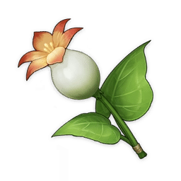 List of Flowers in Teyvat Genshin Impact | HoYoLAB