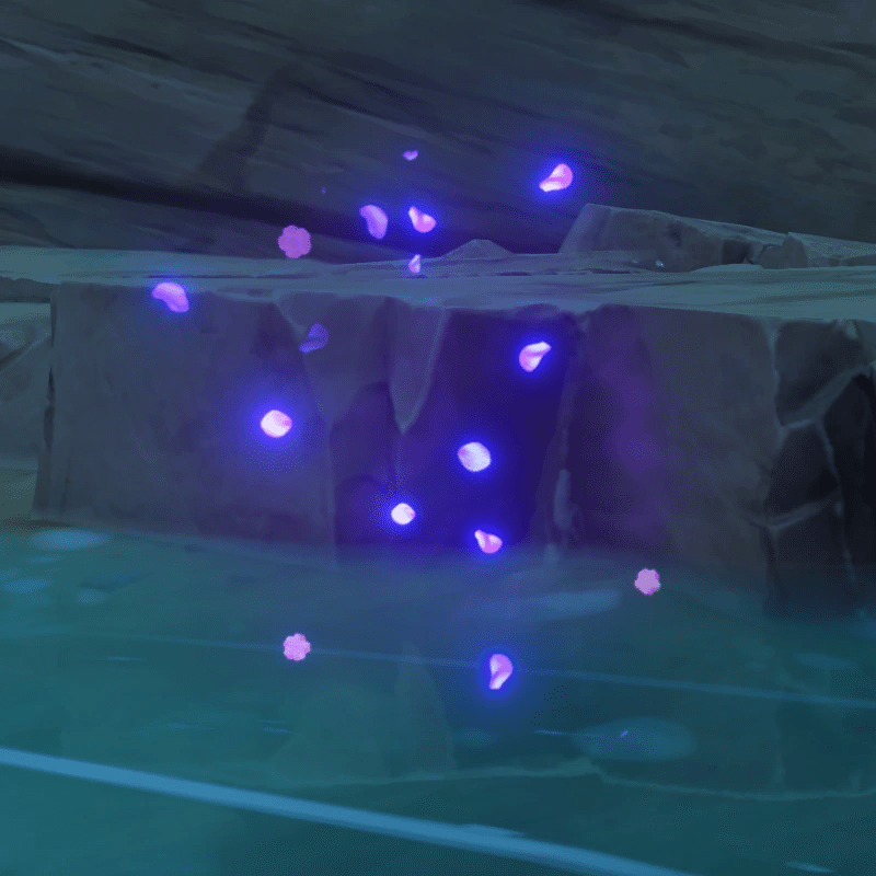 List of Flowers in Teyvat Genshin Impact | HoYoLAB