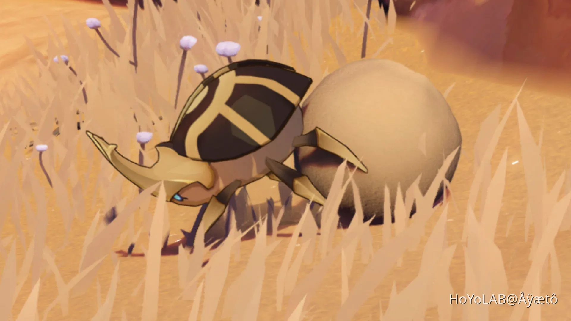 The all mighty Scarab Genshin Impact | HoYoLAB