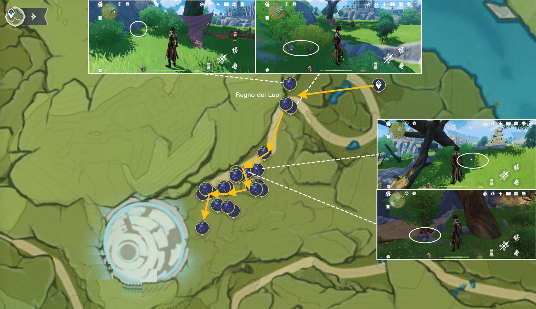 Strategia di raccolta Wolf hook desiderato dai nuovi giocatori Genshin ...