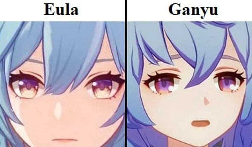 Eula's memes Genshin Impact | HoYoLAB