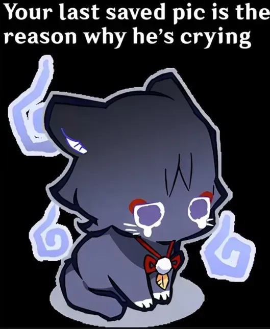 Scarameow crying that Kokomi can't crit Genshin Impact | HoYoLAB