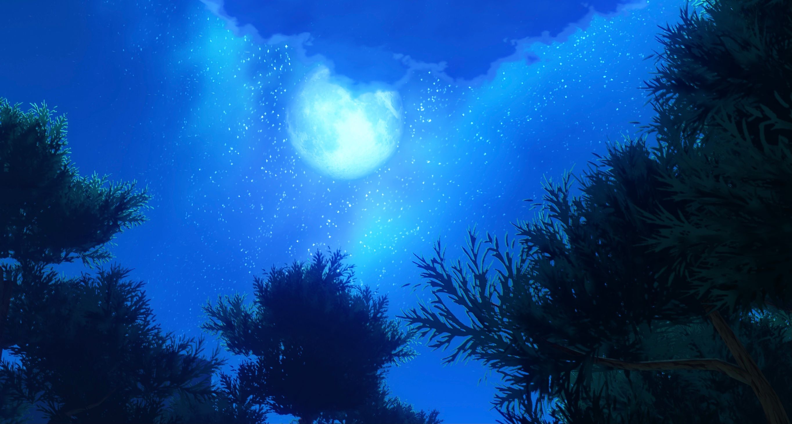 The Night Sky of Inazuma🌌 Genshin Impact | HoYoLAB