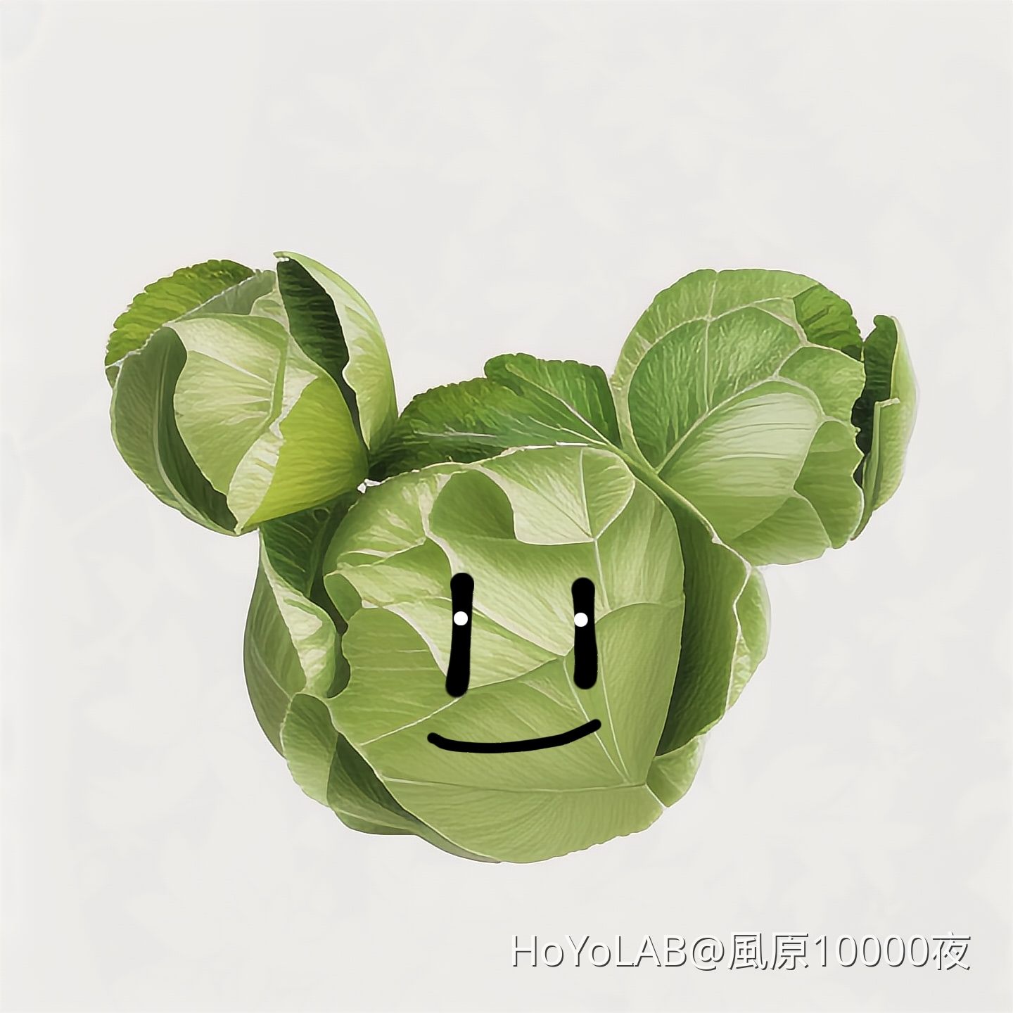 Cabbage Honkai Impact 3rd | HoYoLAB