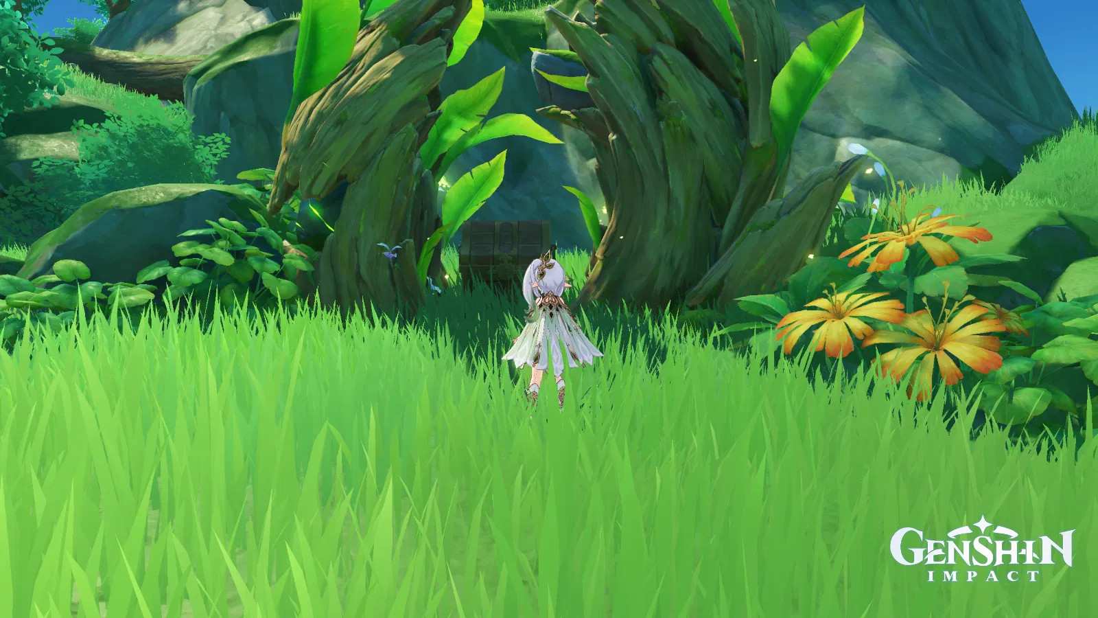 Sumeru Forest, beyond the 100% Genshin Impact | HoYoLAB