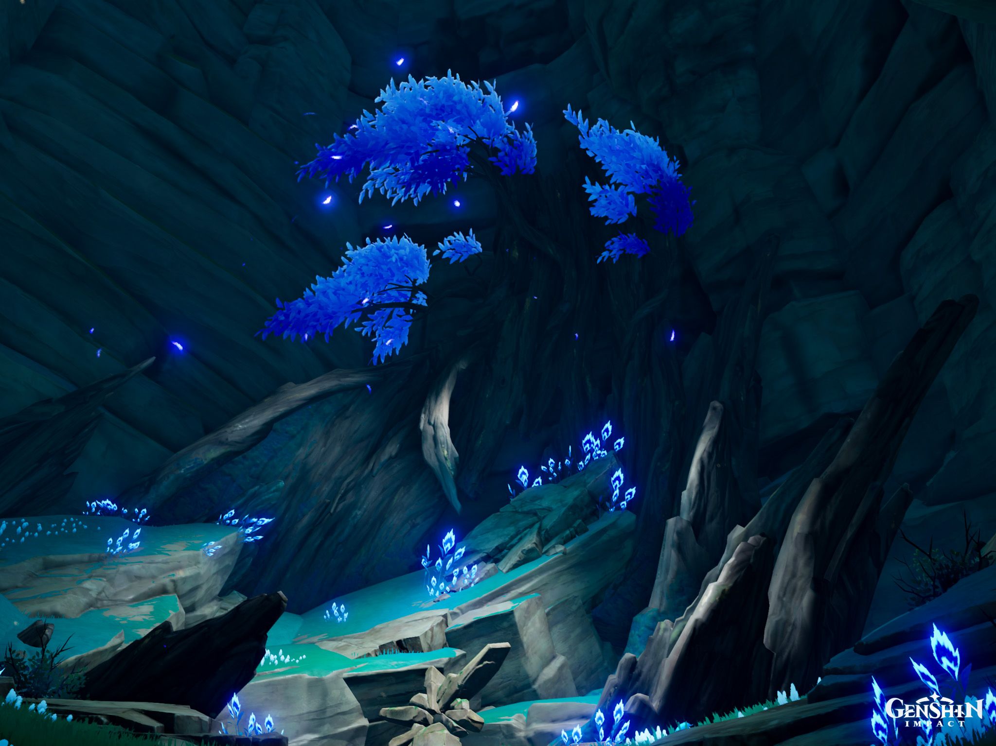 Some Inazuma Photos to End the Year… Genshin Impact | HoYoLAB