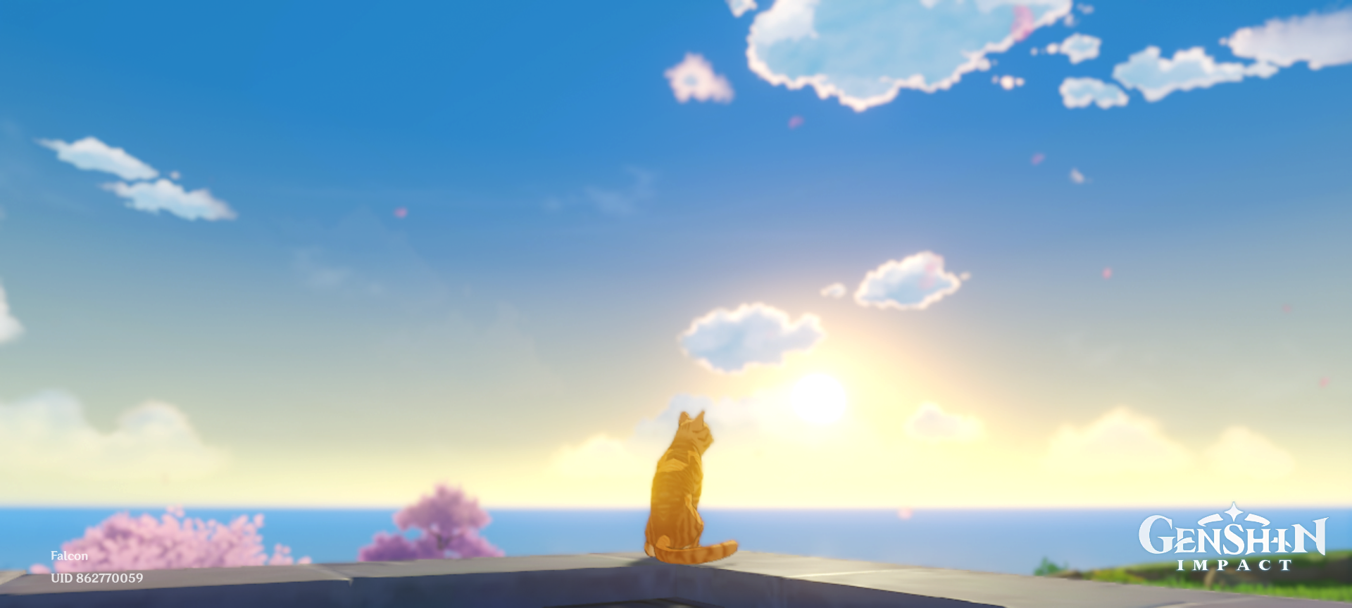 "meow meow"-the sunrise is as beautiful as you Genshin Impact | HoYoLAB