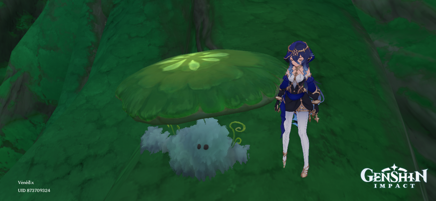 didnt know these things has eyes. so adorbs! Genshin Impact | HoYoLAB