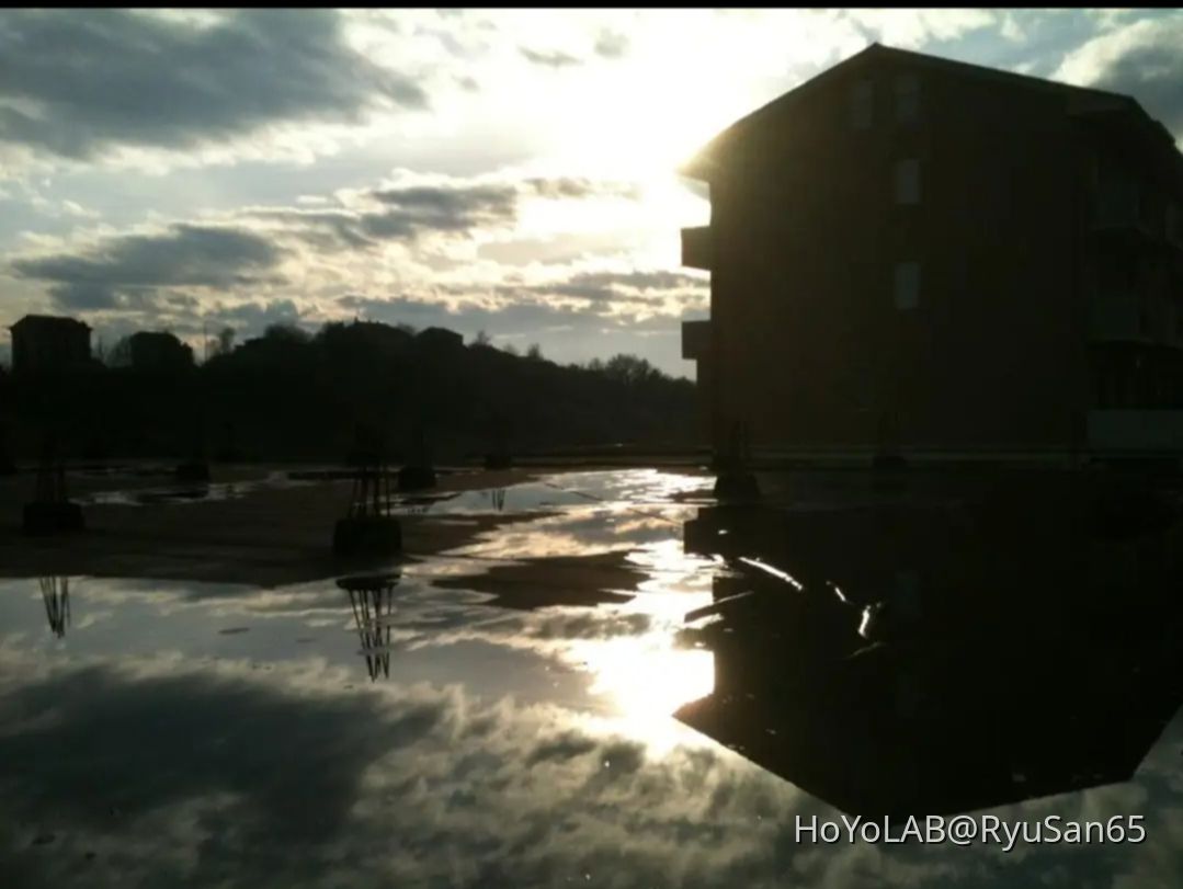 ok guys it's time to reveal yourself who is Ryusan | HoYoLAB