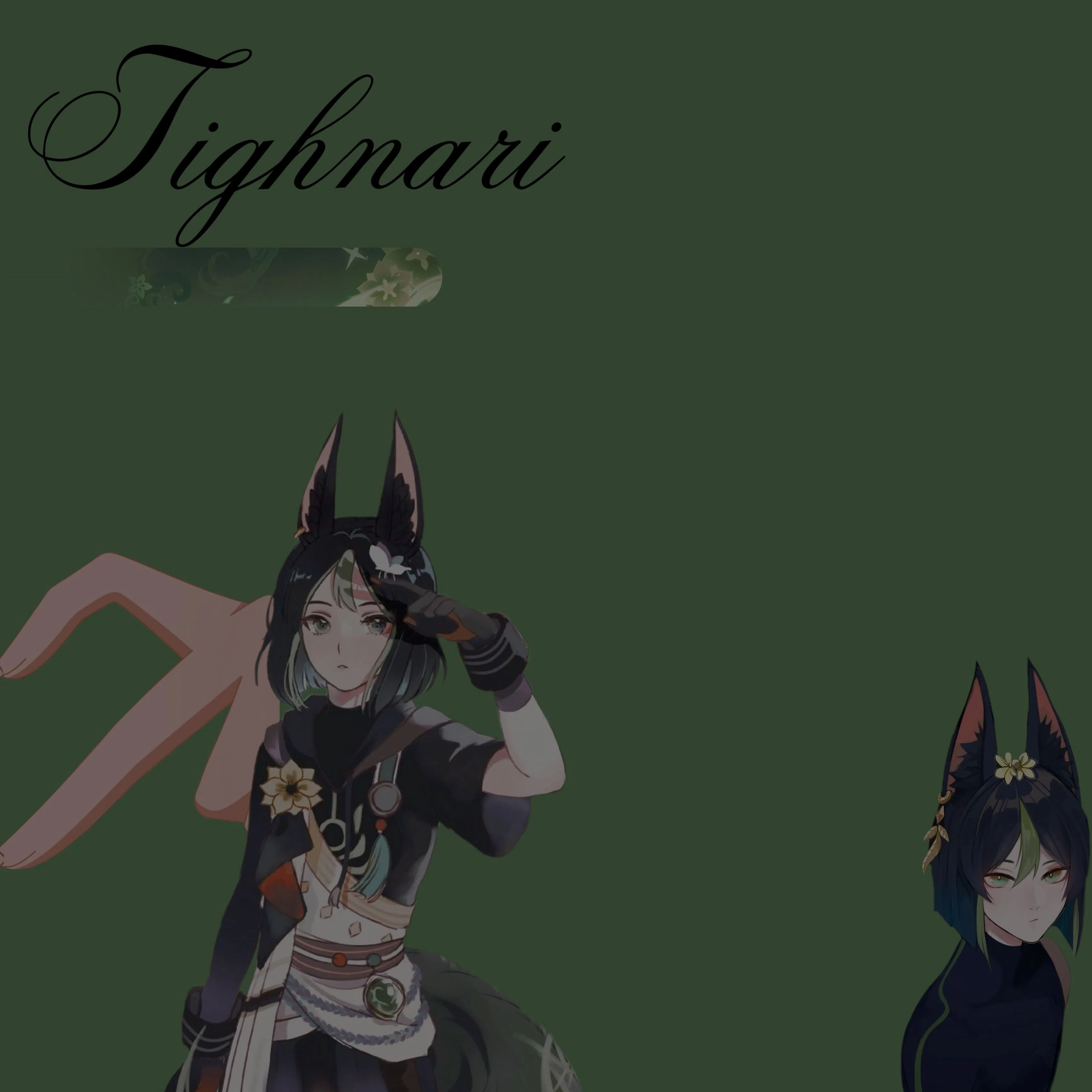 Cyno x Tighnari Genshin Impact | HoYoLAB