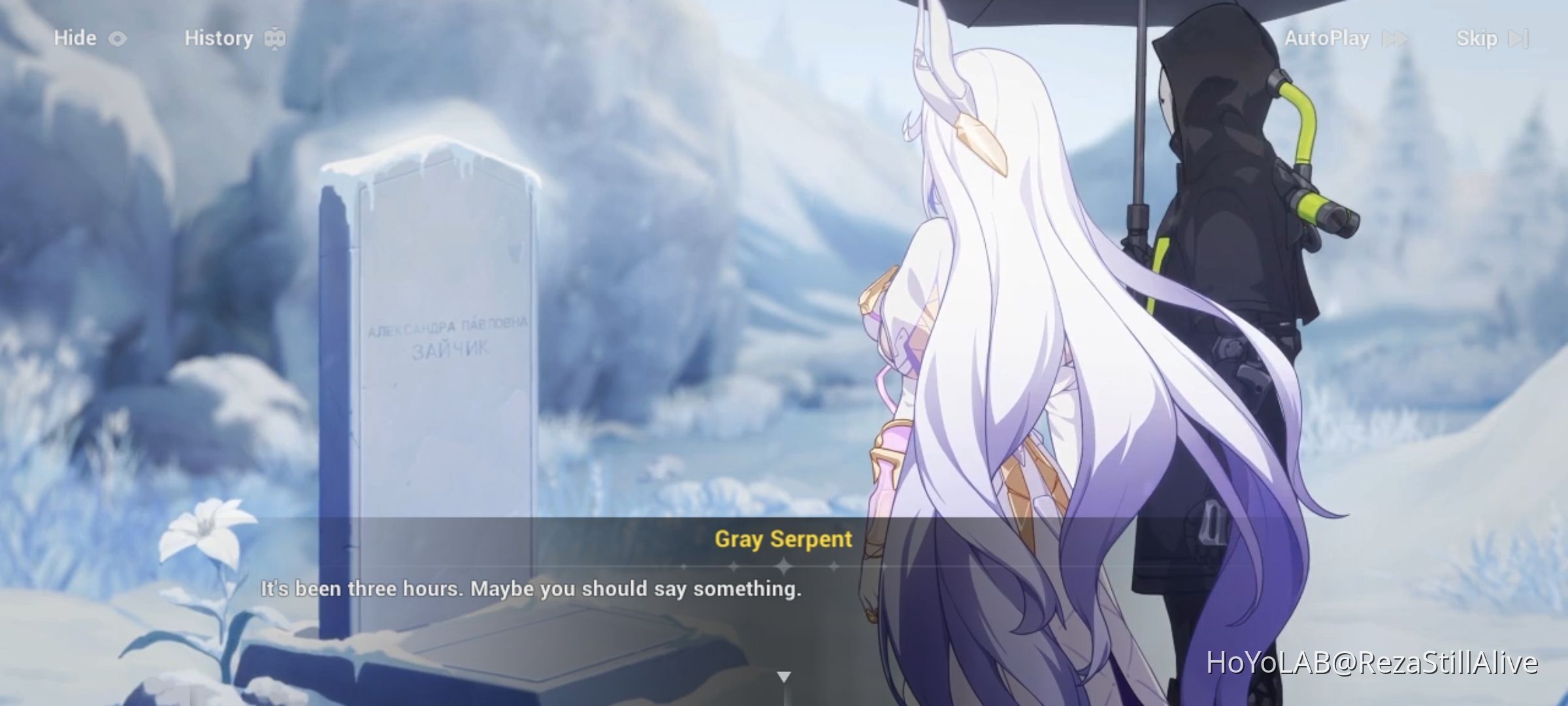 Gray Serpent is Irritated 😅 Honkai Impact 3rd | HoYoLAB