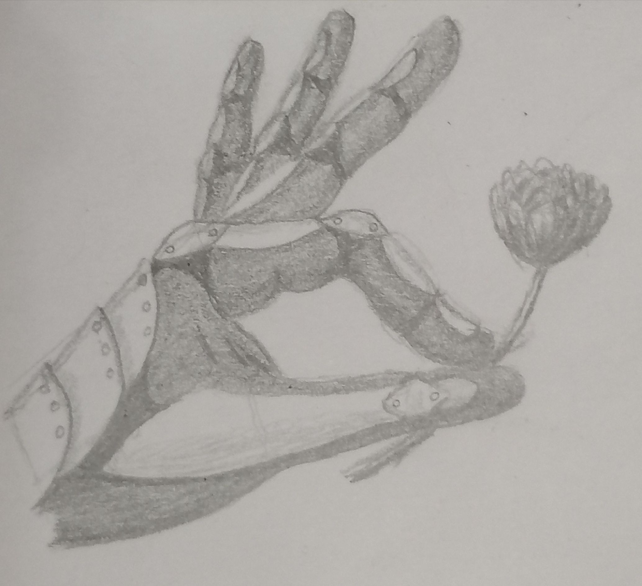 Finally started to draw hands👐😊 Genshin Impact | HoYoLAB