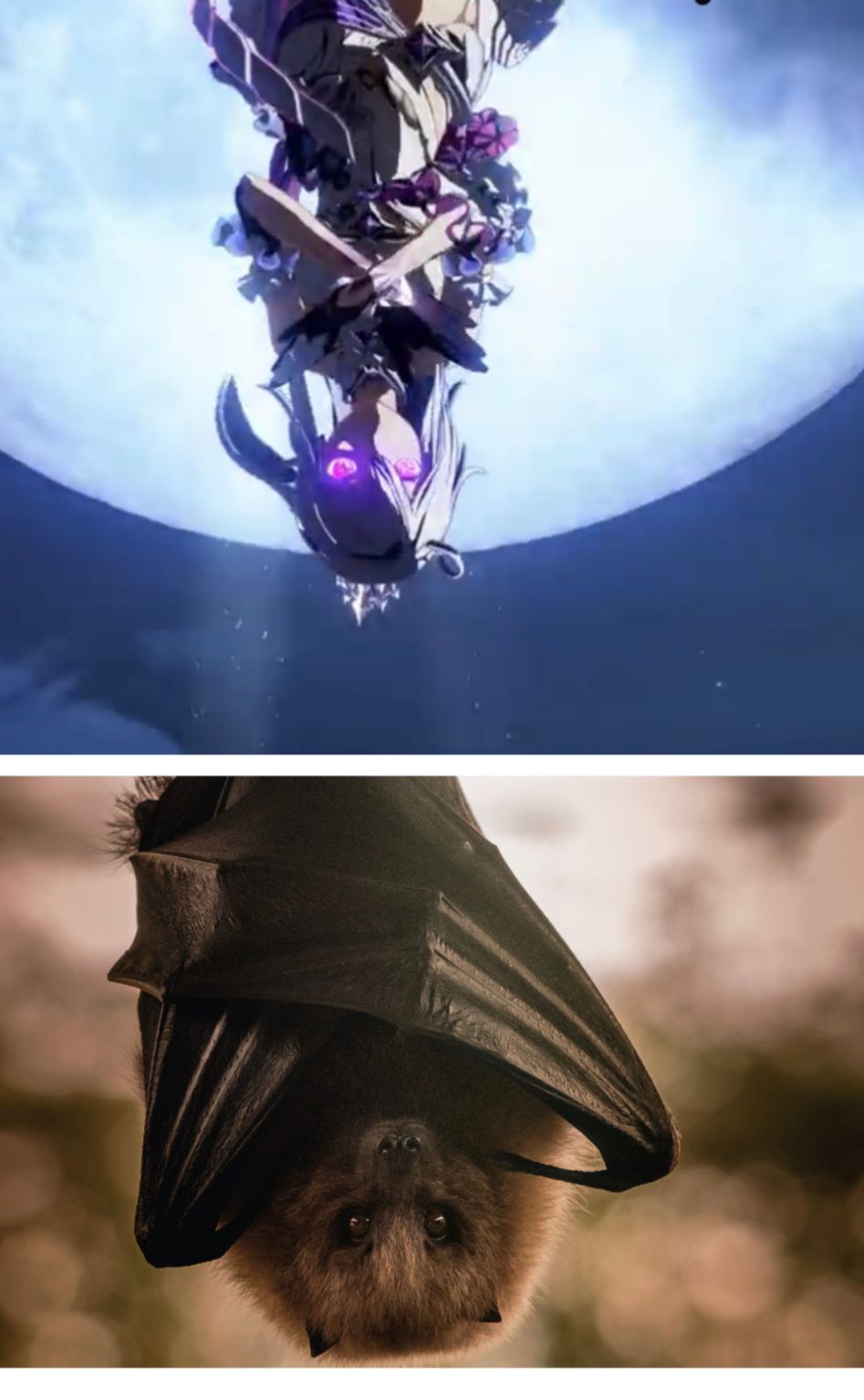 I can’t unsee this Honkai Impact 3rd | HoYoLAB