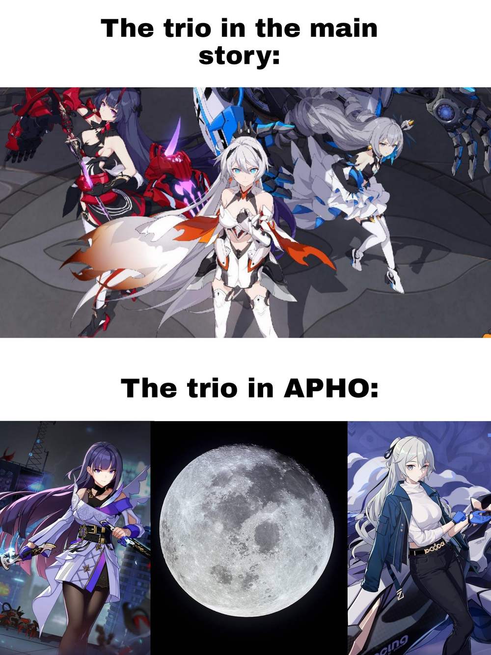 It's time for Honkai Impact Memes Honkai Impact 3rd | HoYoLAB